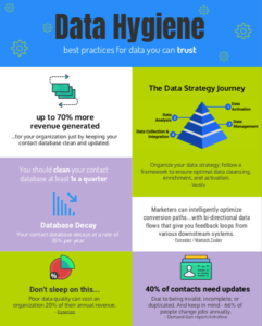 Infographic: Data Hygiene - Vertify